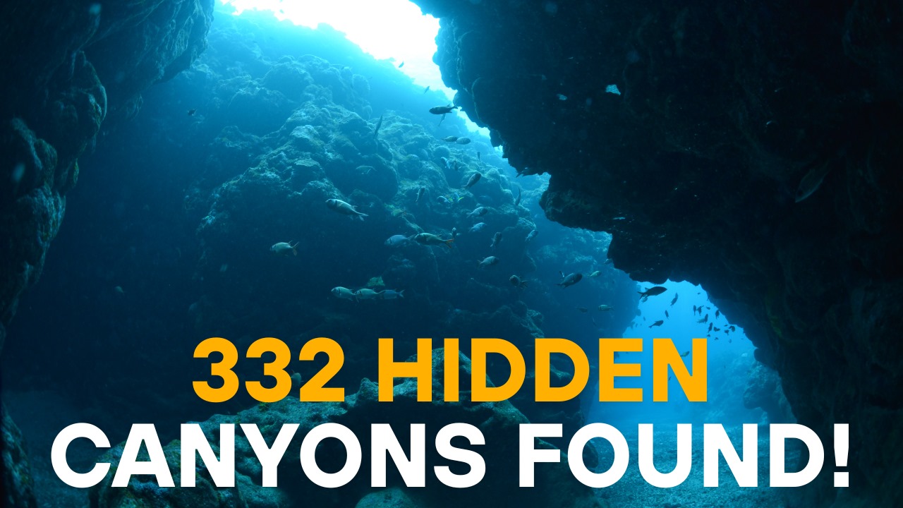 Hidden Under the Ice: Antarctic Canyons Changing Our Climate