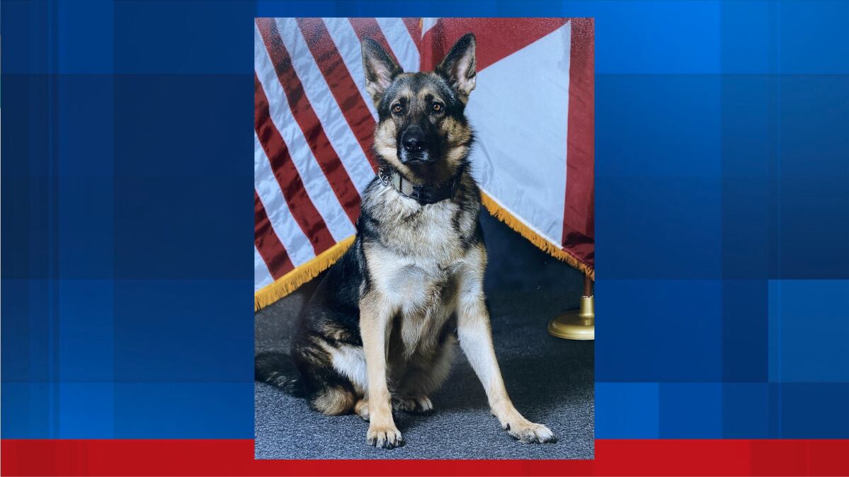 ALEA honors the life and service of late K-9 officer