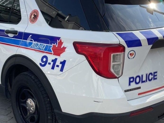 Ottawa police ask for help after man, 87, assaulted in road rage incident