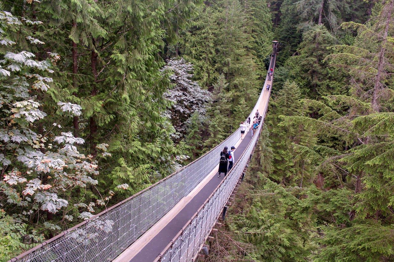 11 Canadian bridges you should stop and walk across
