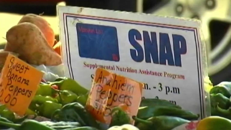 U of I food assistance program shutting down after federal SNAP funding ...