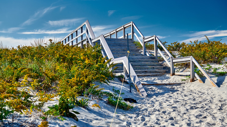Hidden On New England's Atlantic Coast Is One Of The East's Best ...