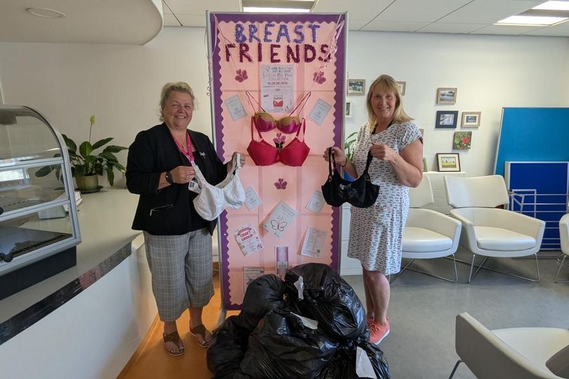 Massive support comes in the shape of more than 1,000 bra donations for ...