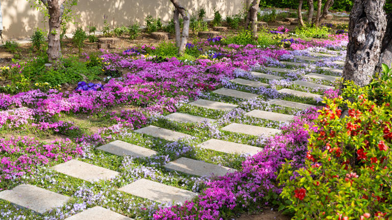 16 Best Fast-Growing Purple Plants For A Beautiful Shade Garden In No Time