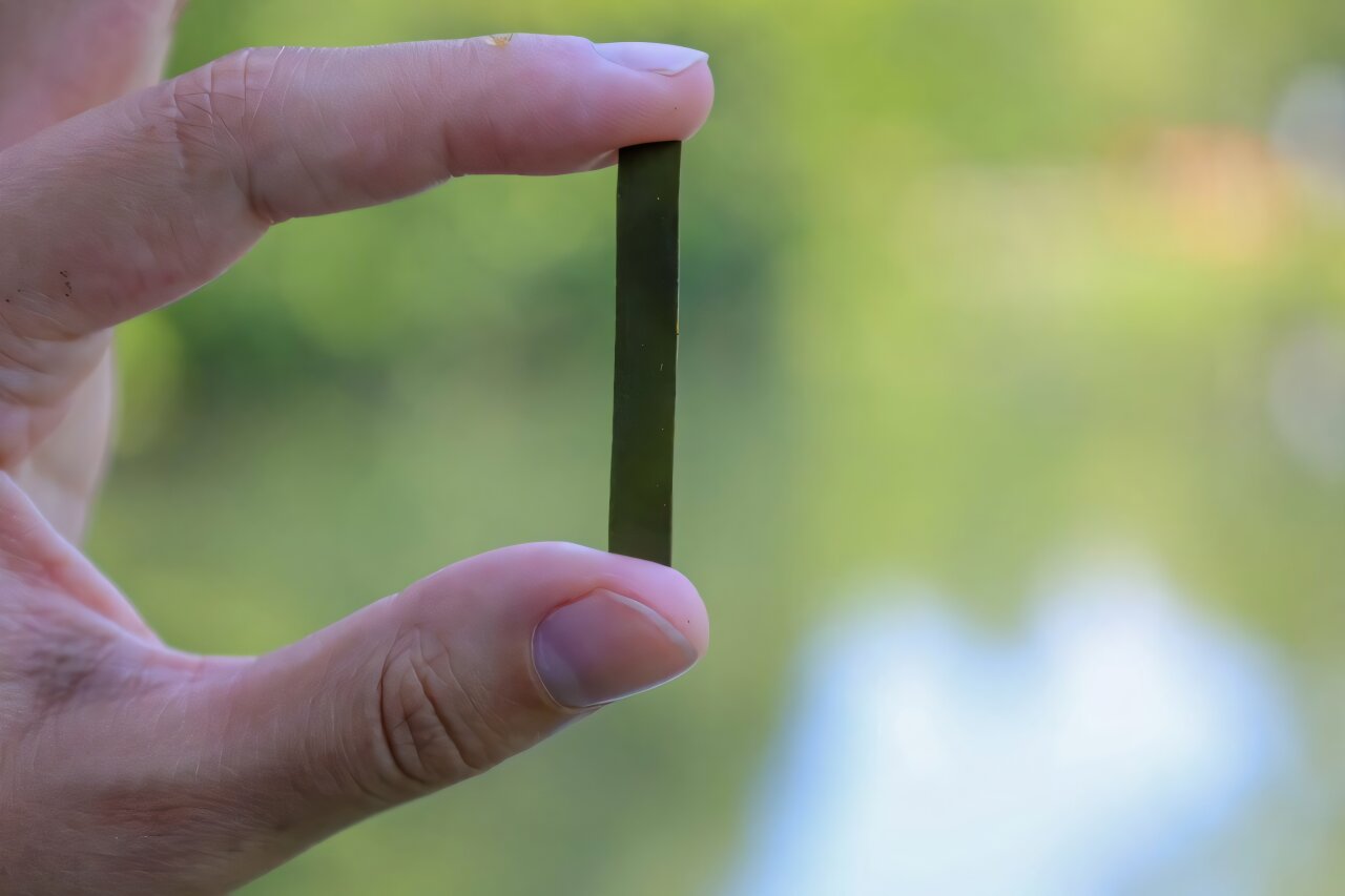 From pond to polymer: Chemists create fully recyclable plastics using ...