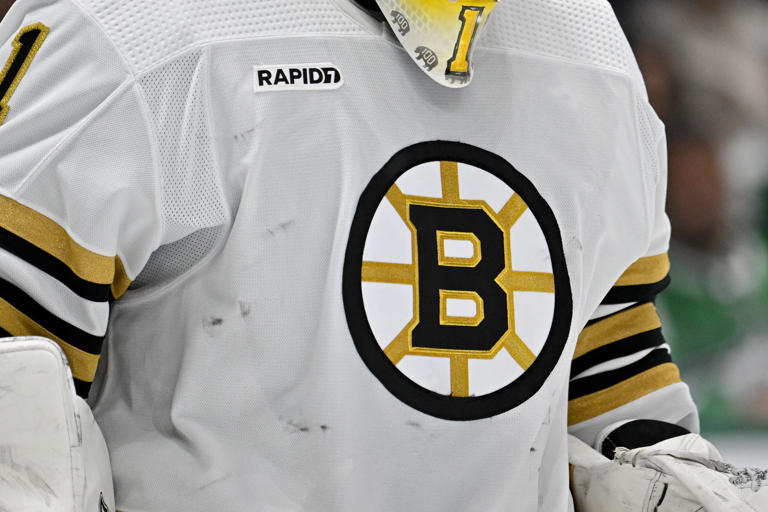 Logo unveiled for 2026 Stadium Series game between Bruins, Lightning