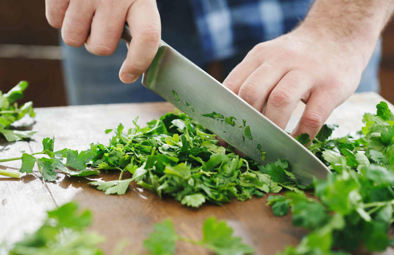 Coriander vs. cilantro: Which one has more vitamins and nutrients?