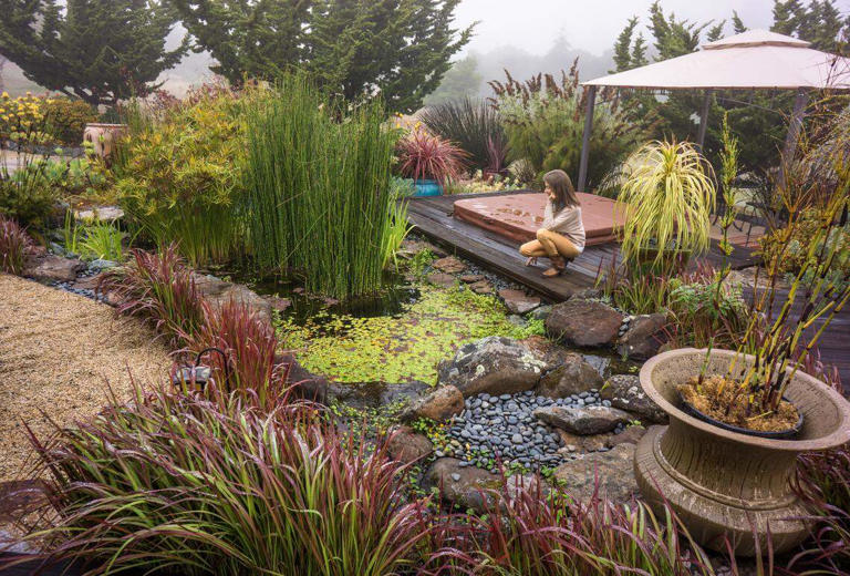 Explore 11-acre, ocean-view Santa Cruz home - a haven of biodiversity ...