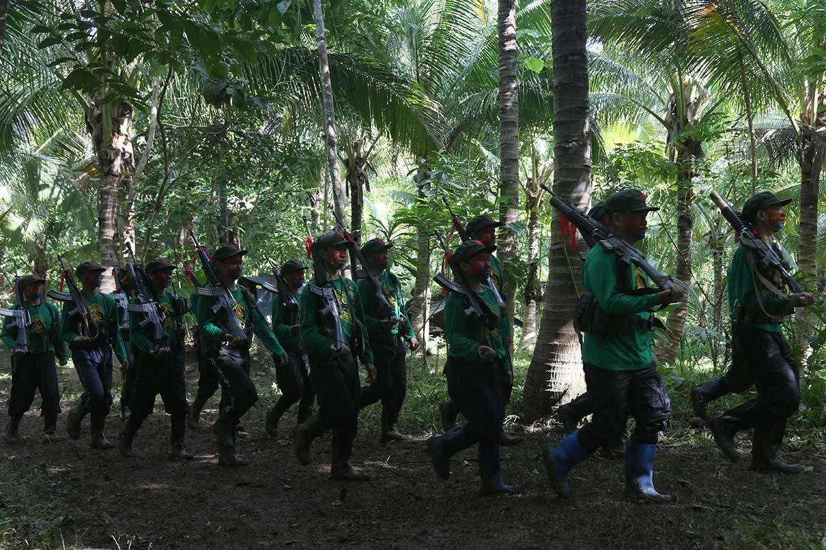 NTF-Elcac, Army: Guerrilla fronts taken out