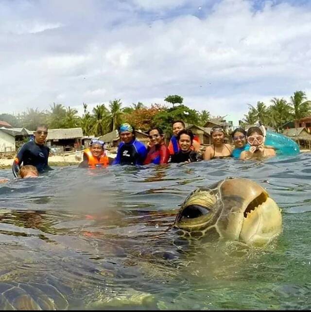 40+ Wildly Funny Photobombs People Posted Online