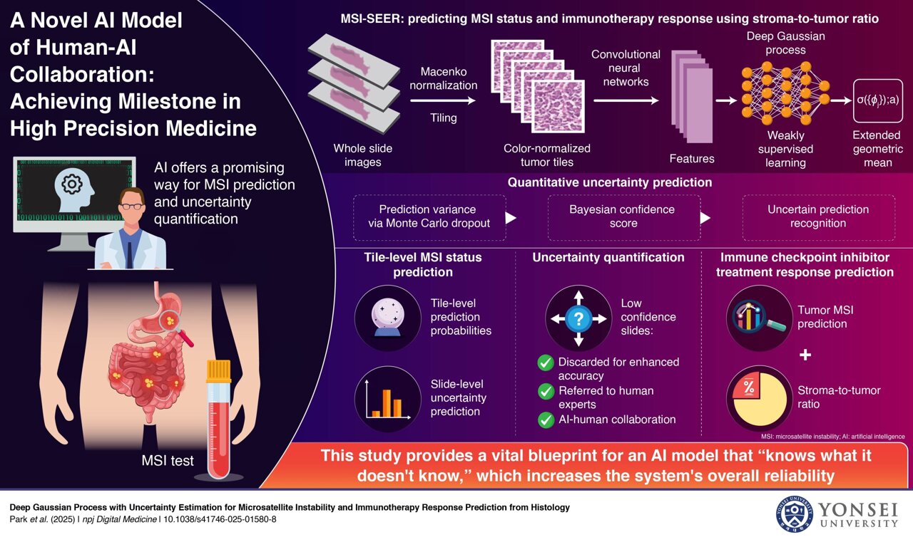 Deep learning model predicts microsatellite instability in tumors and ...