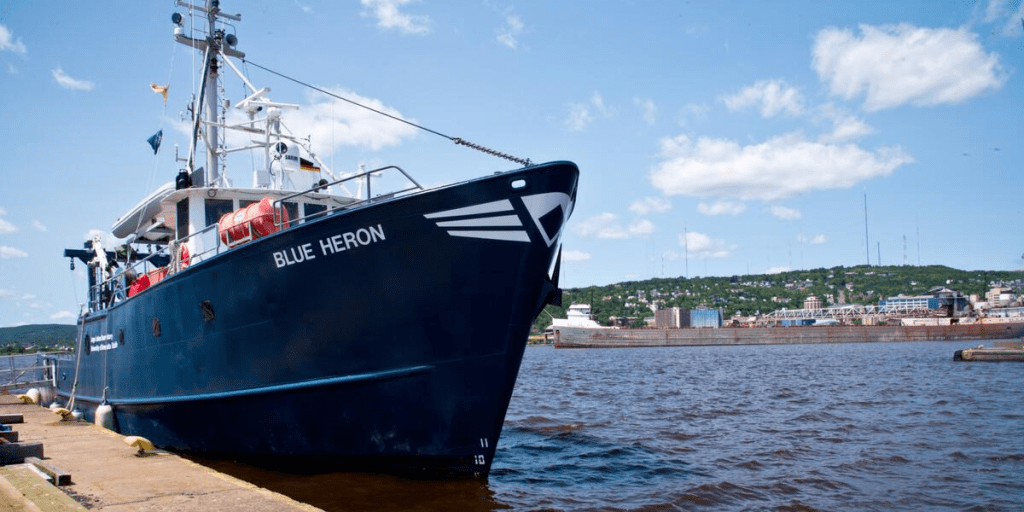 Mysterious black goo found on ship is actually alive