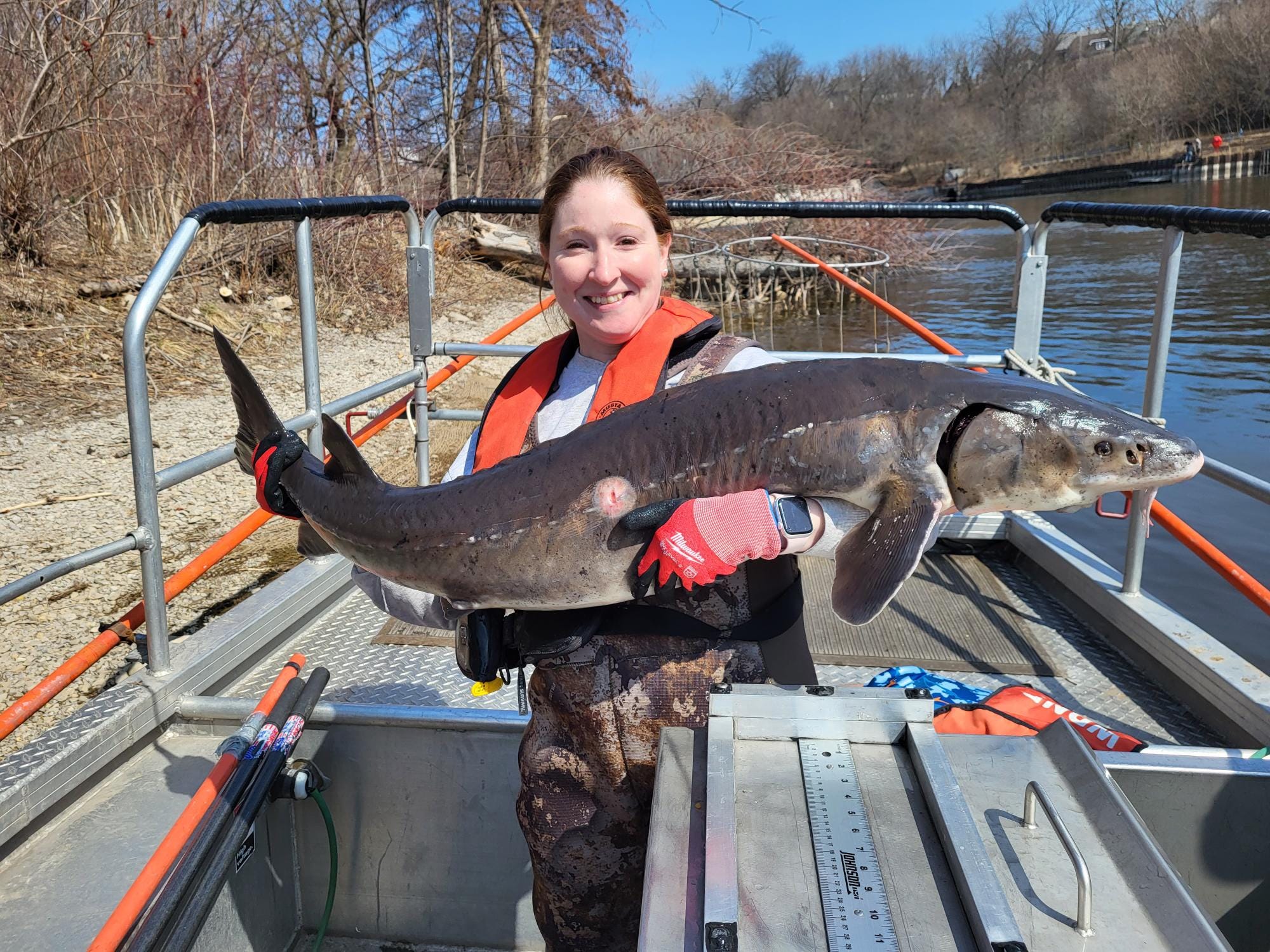 August 2025's full moon could spell trouble for watching the Perseid ...