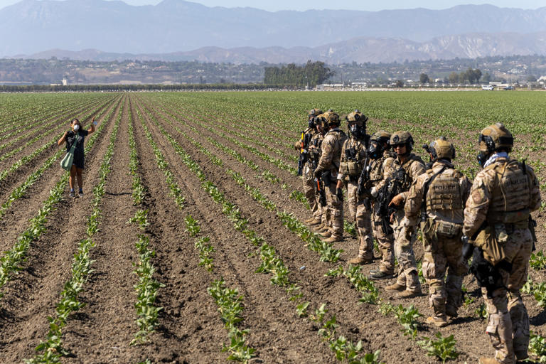 California cannabis farm announces changes after deadly ICE raid