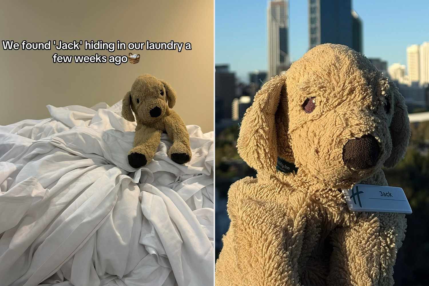 A Child Left Their Stuffed Animal Behind at a Holiday Inn. Then the ...