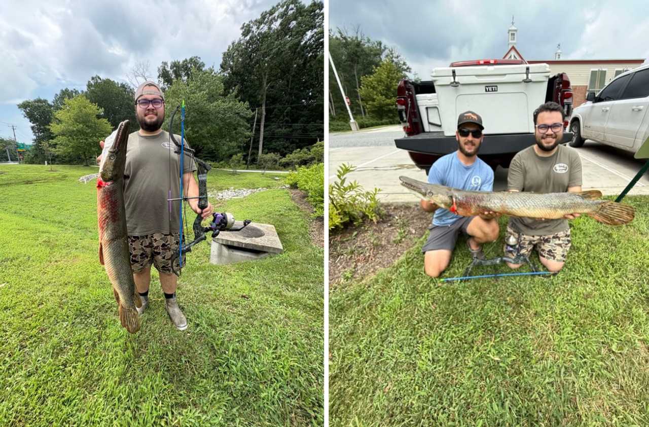 Texas-Sized Surprise: Maryland Bowhunters Reel In Monster Catch In Bush ...