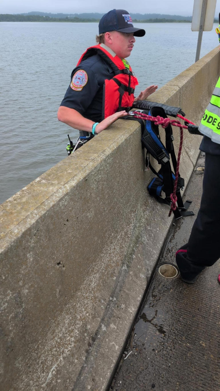 Spanish Fort fire crews rescue person who went into water along Bayway
