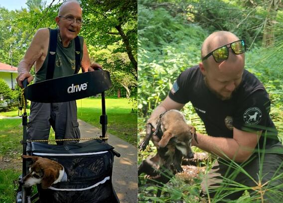 90-year-old man reunites with his lost deaf dog in Harwinton