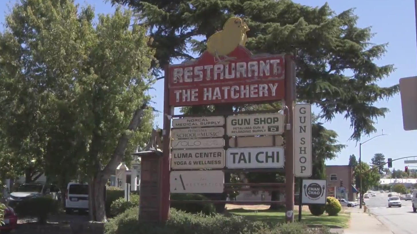 Neon sign in Petaluma of ‘The Hatchery’ and baby chick in need of ...
