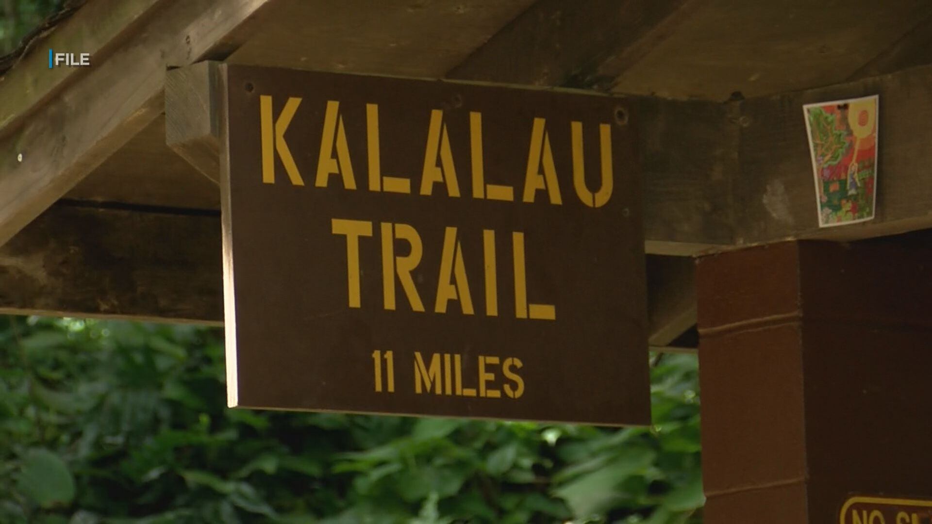 Hiker rescued from Kauai trail due to infected spider bite