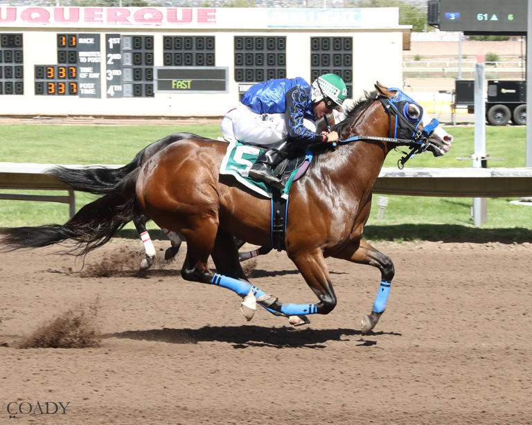 All American Futurity trials 2025: Day 2 results from horse racing ...