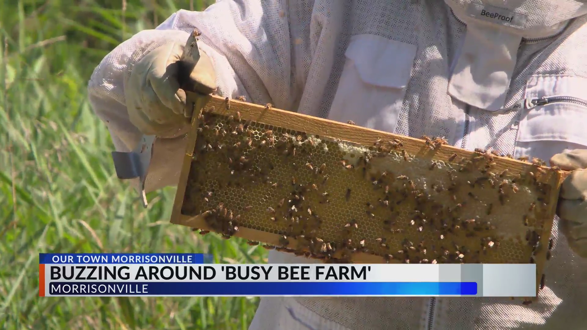 Buzzing over bees in Our Town Morrisonville: Meet the couple producing award-winning honey