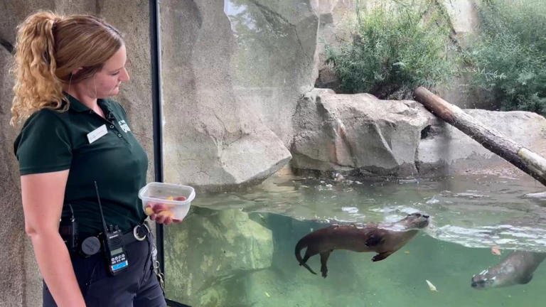 Fort Wayne Zoo teen program helps shape next generation of zookeepers