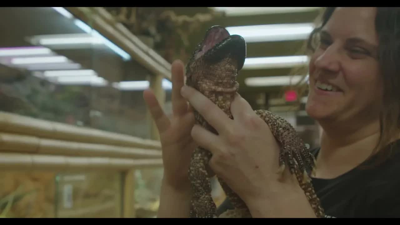 Giving My Giant Iguana Some Love!