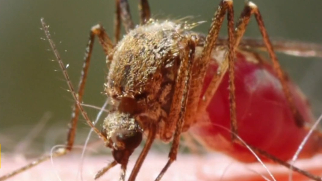 China brings in pandemic response after thousands get rare virus