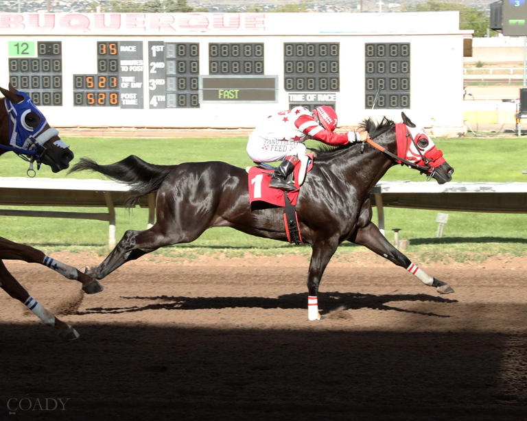 All American Futurity trials 2025: Day 2 results from horse racing ...