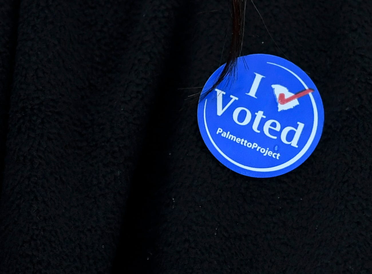 Lee Bright wins Senate District 12 primary race, while House District ...