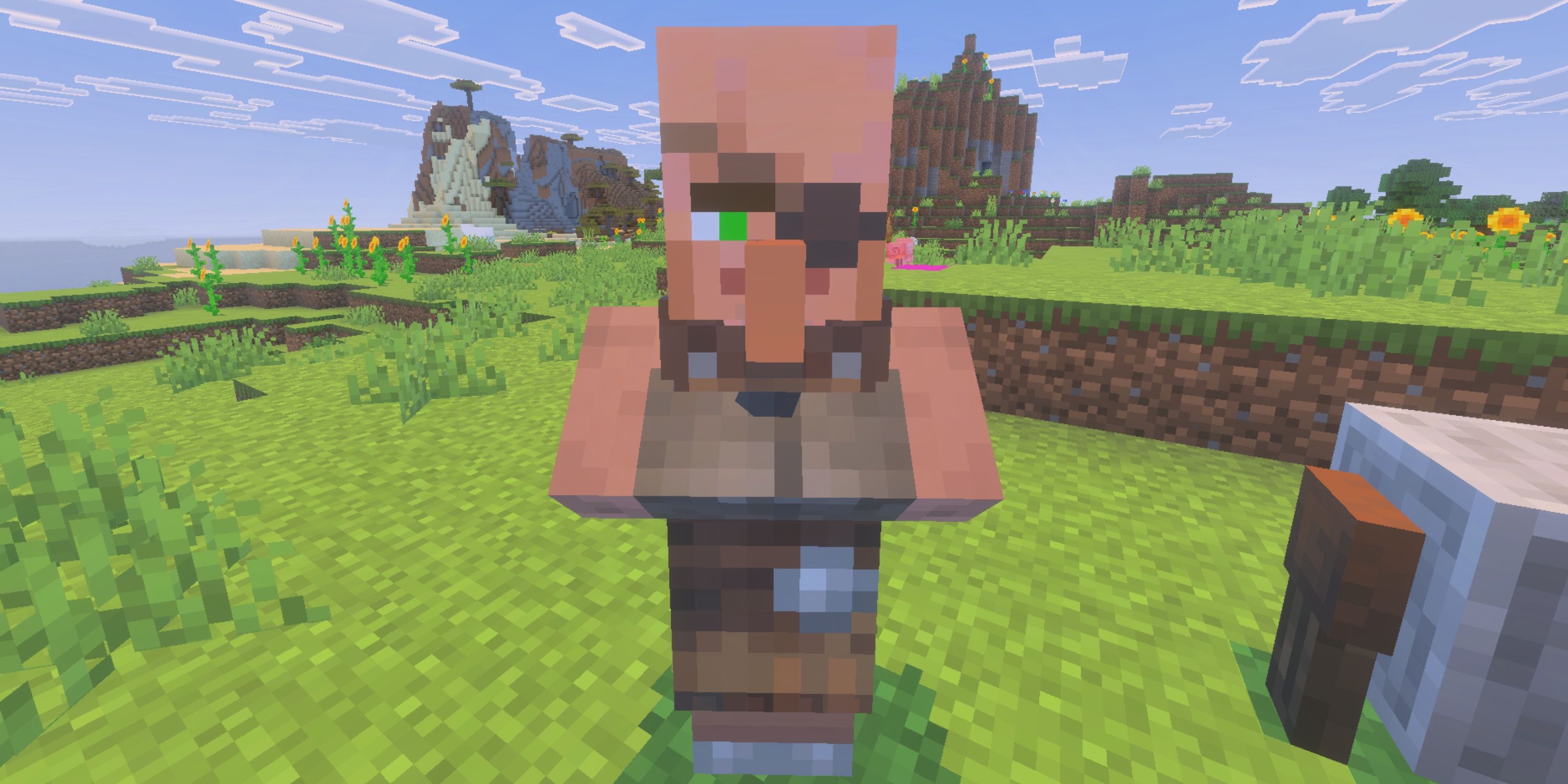 All Minecraft Villager Jobs, Explained