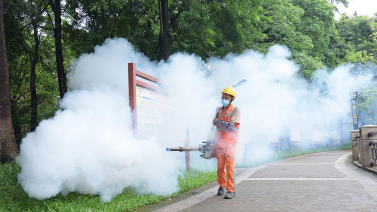 U.S. travel alerts issued as chikungunya outbreaks spread across China ...