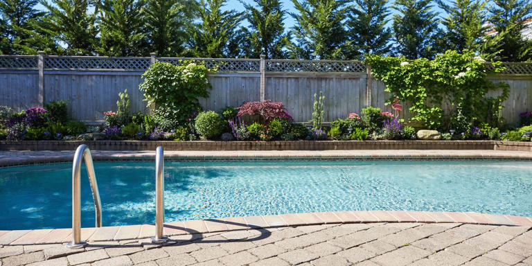 15 Poolside Plants to Transform Your Yard Into a Tropical Paradise