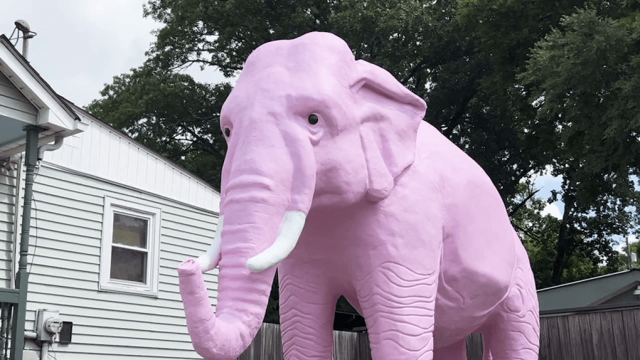 Pinkie the elephant is home at West Nashville car wash