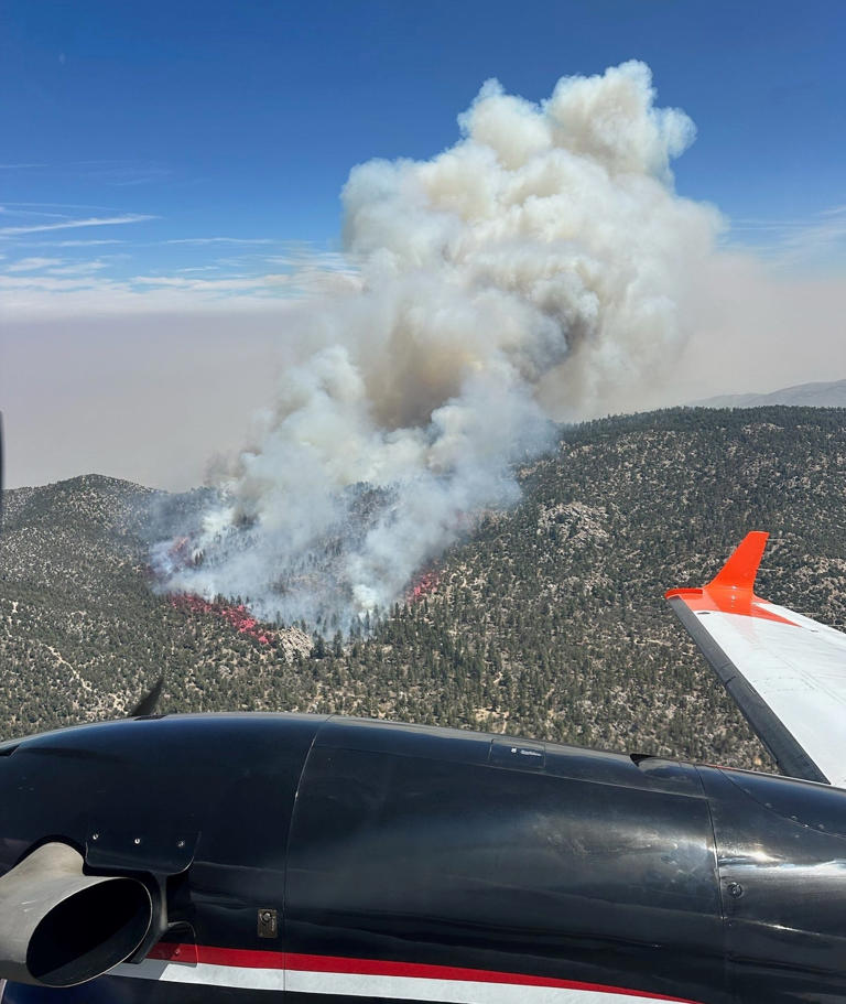 Gold Fire burning in forest above Big Bear Lake surpasses 900 acres