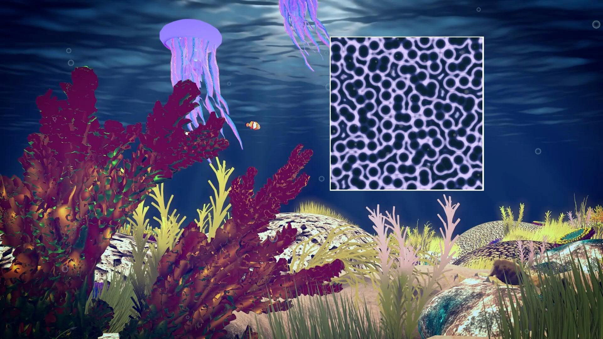 Coral bleaching - RAW/STOCKSHOTS