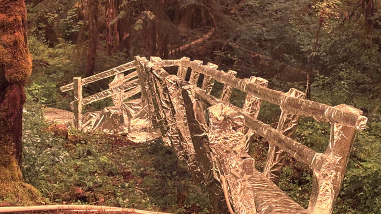 Level 3 evacuations remain in place for Bear Gulch Fire in Mason County, WA