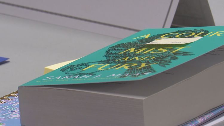 South Carolina leads US school book bans, ACLU reports