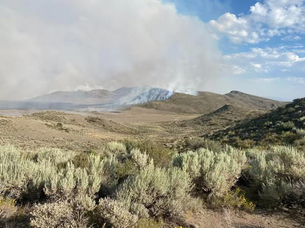 Jakes Fire becomes Nevada’s biggest fire so far in 2025