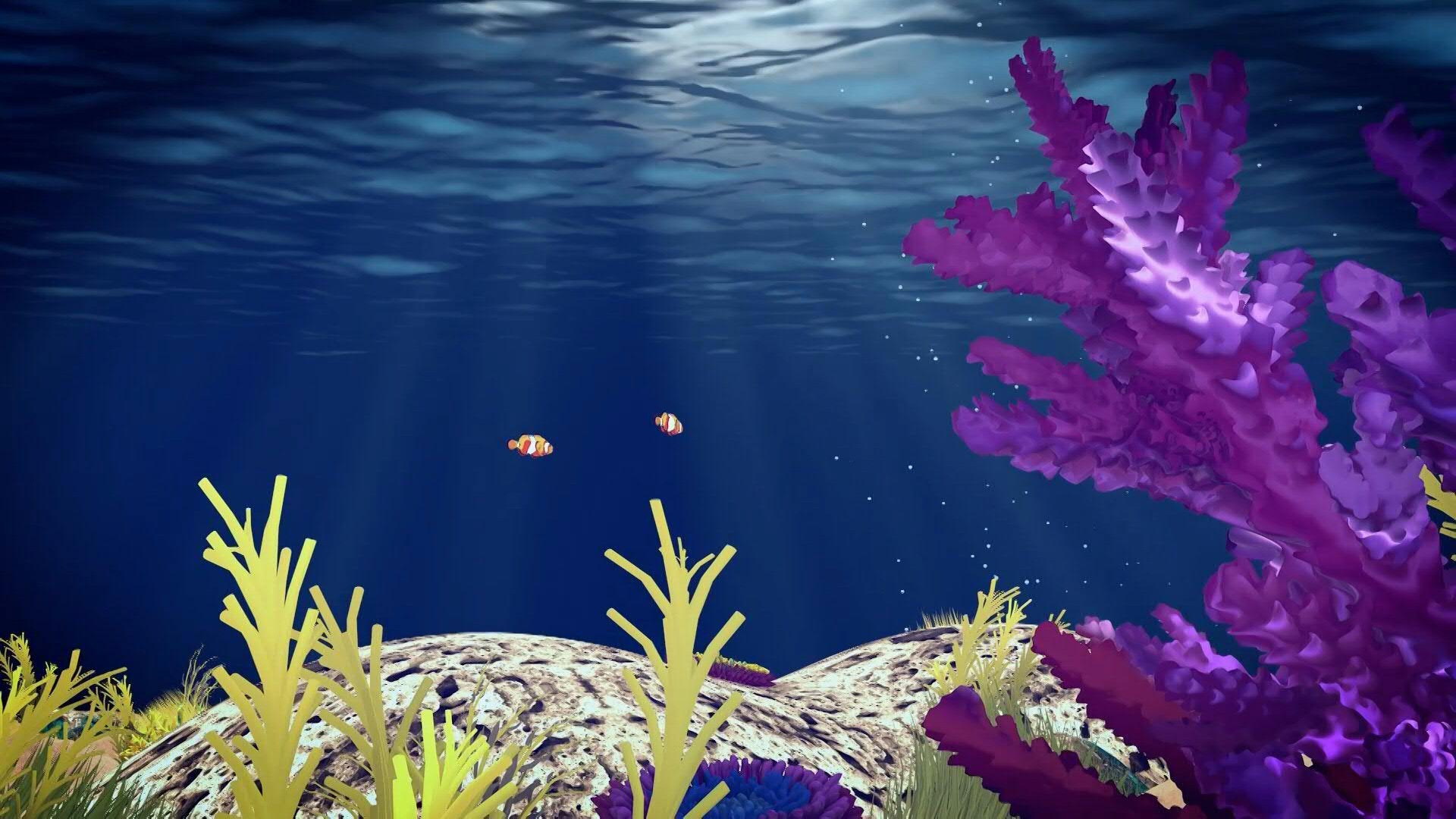 Coral bleaching