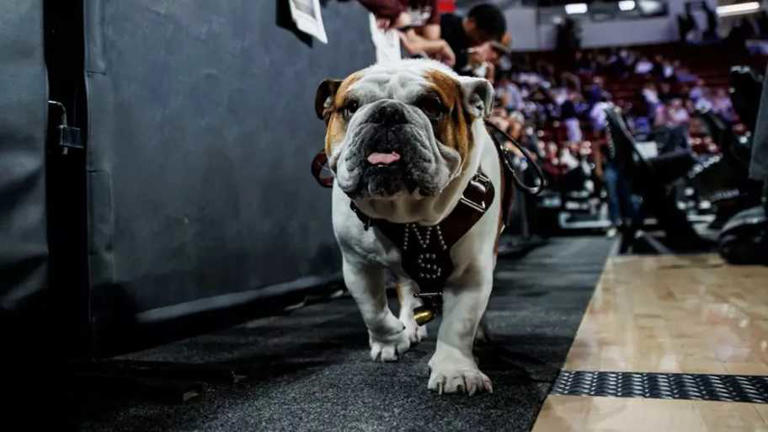 Mississippi State schedules official visit with 4-star twin brothers