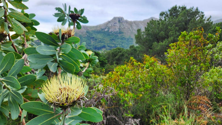 The most unexpected yet beautiful human connection with a stranger on ...