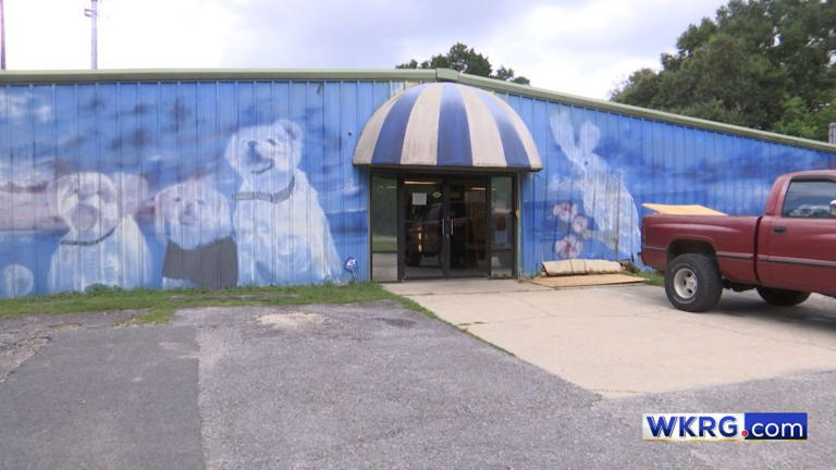 Car hits Pensacola business (photos)