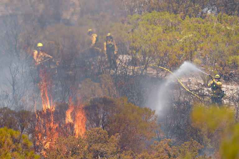 Rosa Fire containment grows; Highway 74 open to some residents ...