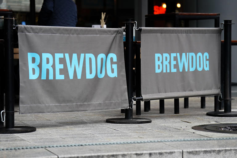 Brewdog advert banned for suggesting alcohol can cure disappointment