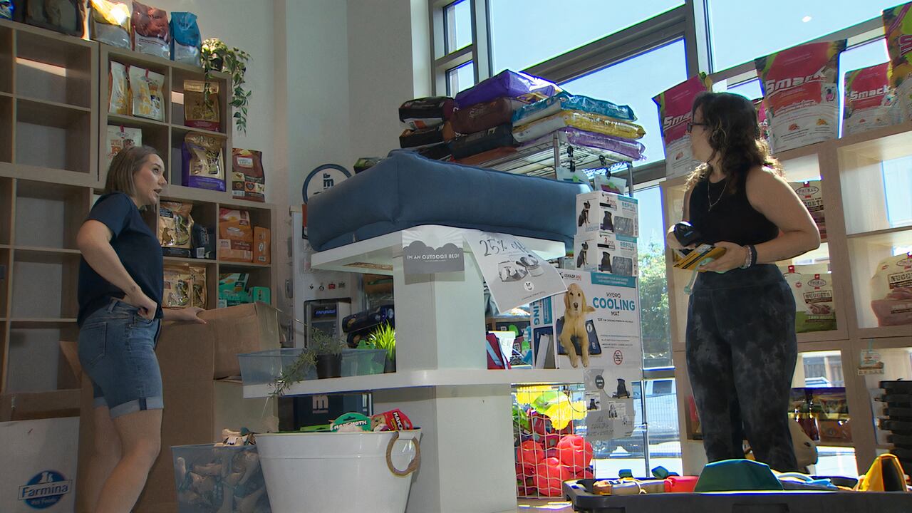 Marda Loop business owner says long-term construction forcing store to ...
