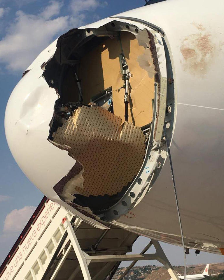 Bird strike forces emergency landing of Iberia plane, causes massive ...