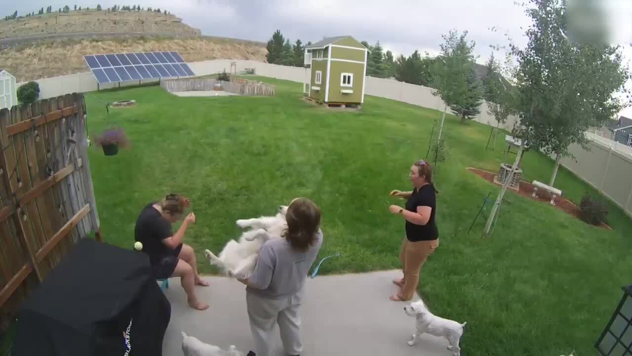 Woman Hits Own Head After Ball Bounces Off Fence