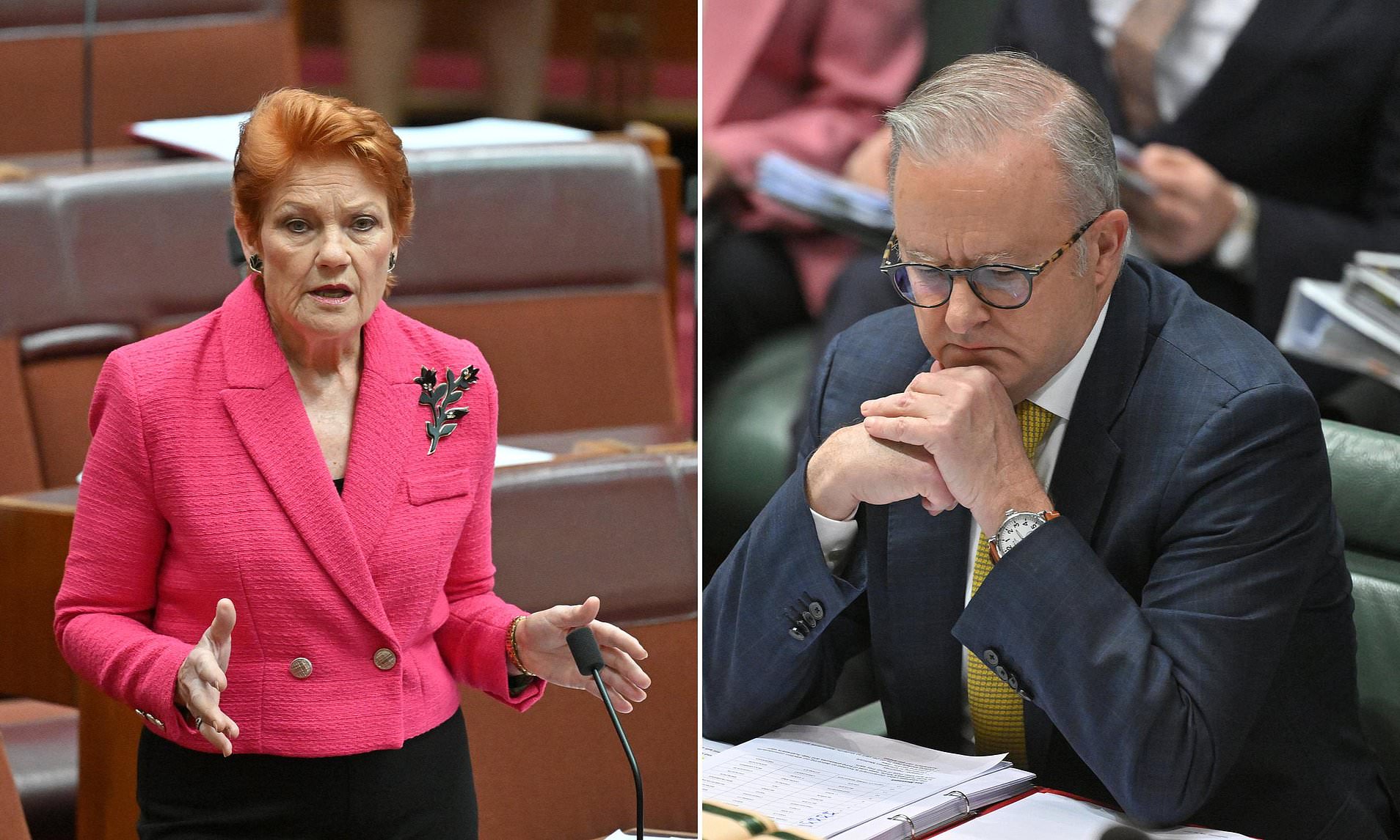 Pauline Hanson makes explosive claim about Anthony Albanese's election win
